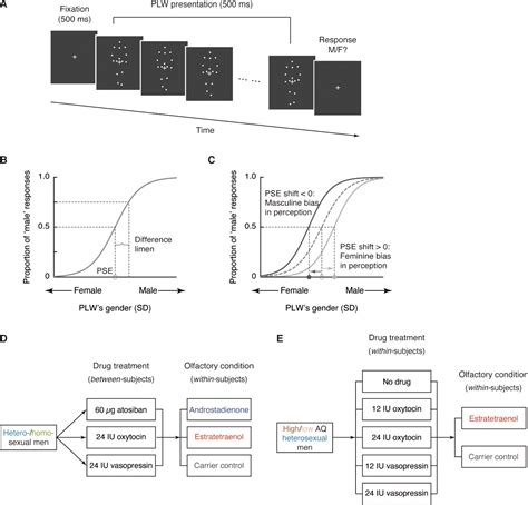 Figures And Data In Oxytocin Modulates Human Chemosensory Decoding Of