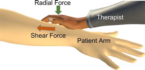 Manual Lymphatic Drainage Massage Therapy Download Scientific Diagram