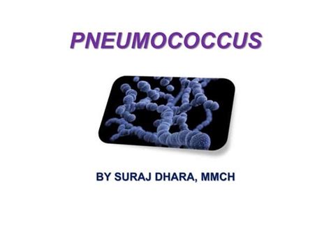 Streptococcus Agalactiae Bacteria Microbiology Lecture Pptx