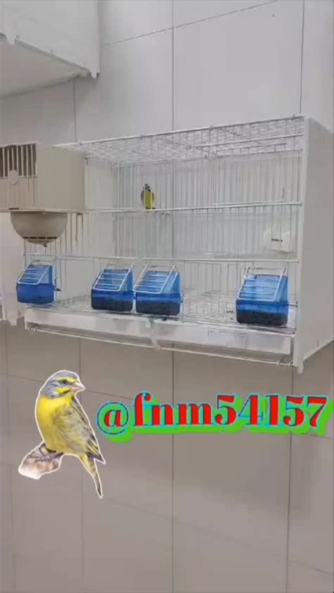 ‎فتحي المنصوري‎ ‎ياسمين مكس‎ Instagram