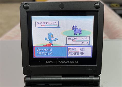 [gen 3] Shiny Treecko After 5 752 Srs In Pokemon Ruby R Shinypokemon