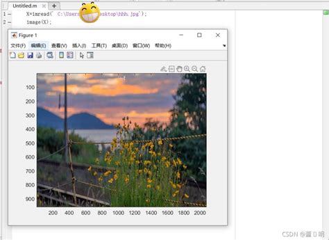 水一篇计算机视觉：imread imshow rgb2gray 还有设置路径 i imread live imshow i j