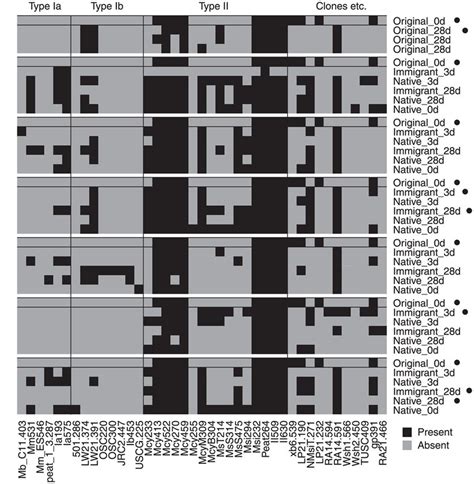 Binary Map Of Microarray Results Each Site A F And O Is Showed