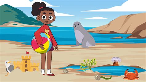 How Do Ecosystems Work Ks2 Science Curriculum Bbc Bitesize