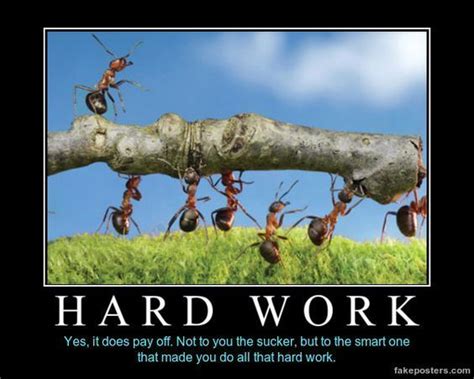 Your Poster Demotivators Humor Demotivators Work