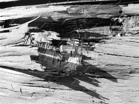 Premium Photo Beautiful Wooden Fracture Old Oak Natural Texture Close Up