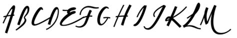 Cursive Signa Script Extra Bold Italic Font What Font Is