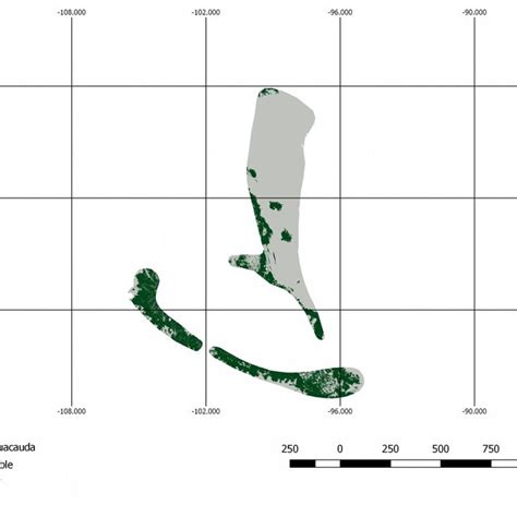 Figure A2 Aoh Map For The Species Icterus Graduacauda The Iucn Range Download Scientific