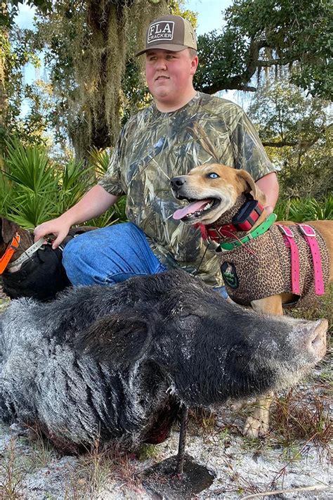 Wild Hog Hunting Florida With Python Cowboy