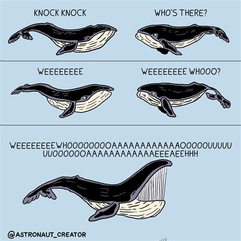 Whale Jokes Whale Jokes Orca Puns Moby Dick Humor