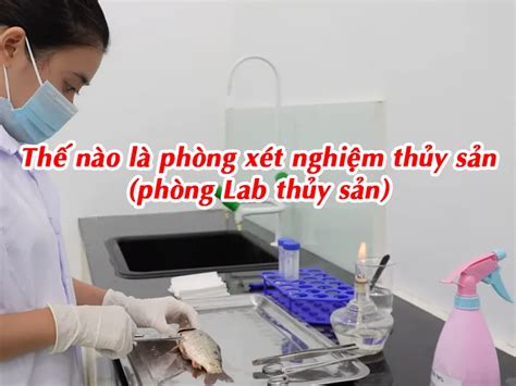 Thế nào là phòng xét nghiệm thủy sản phòng Lab thủy sản