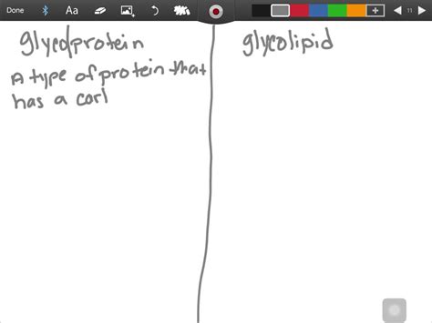 Solved What Are The N Terminus And C Terminus Of A Protein