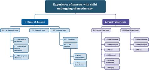 Graph Illustrating The Thematic Analysis Results Download Scientific Diagram