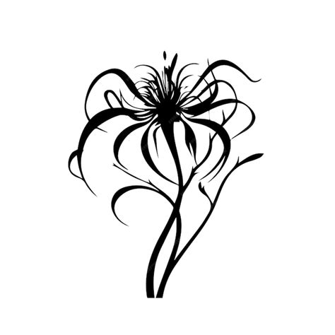 Premium Vector Spider Lily Black And White Vector Template Set For