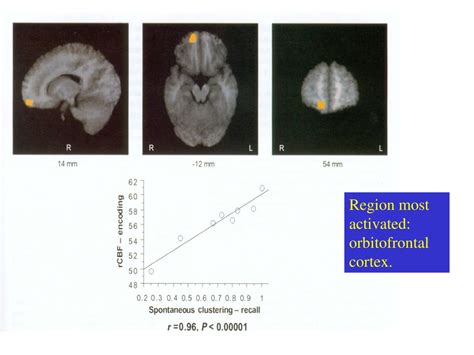 Ppt Distinct Memory Systems Mediating Declarative Emotional And Procedural Memory Functions