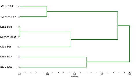 Dendrogram Generated Based On Upgma Clustering Method And Euclidean