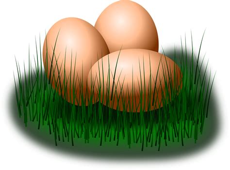 Download Easter Eggs Grass Royalty Free Vector Graphic Pixabay