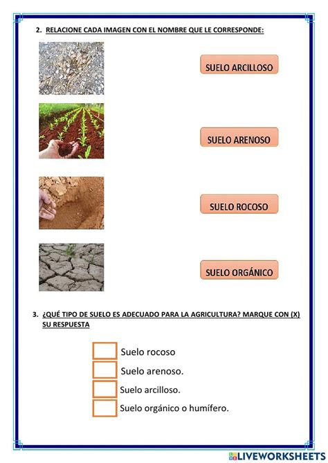 1736896 Los Tipos De Suelos Erika Liveworksheets