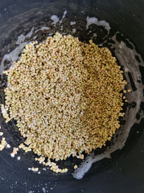 Brewing With Ceoliac Disease Page 5 Make Beer At Home Forums