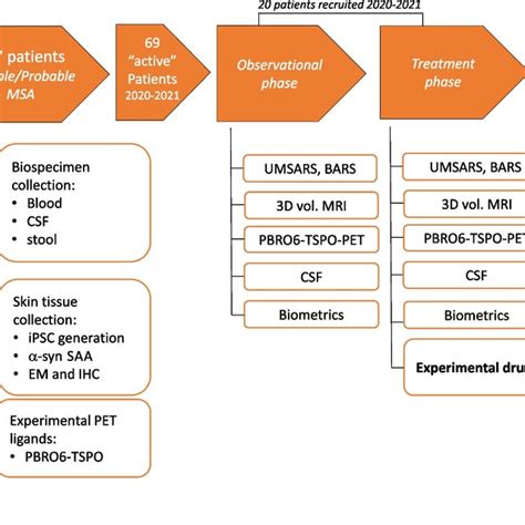 Detailed Workflow For Patients With Potential Msa From Initial Download Scientific Diagram