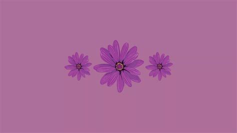 Cute Purple Desktop Wallpapers Wallpaper Cave