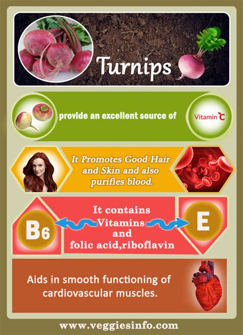 Turnips Health Properties Nutrition Information Veggies Info