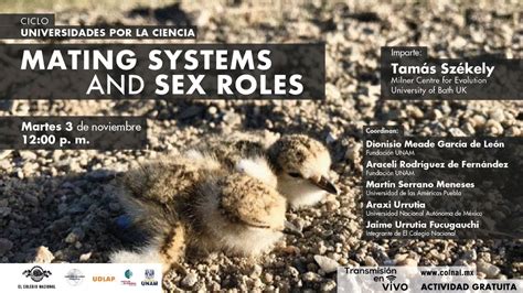 Mating Systems And Sex Roles YouTube