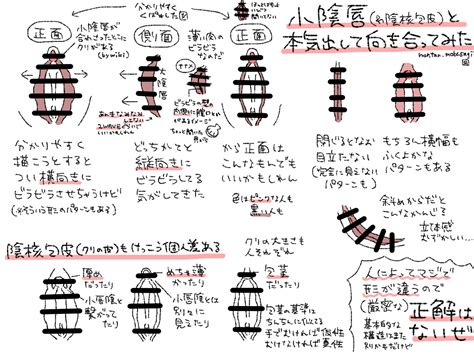 Nontan Mobusagi Original Translation Request 6 Girls Bar Censor Censored Clam Clitoral