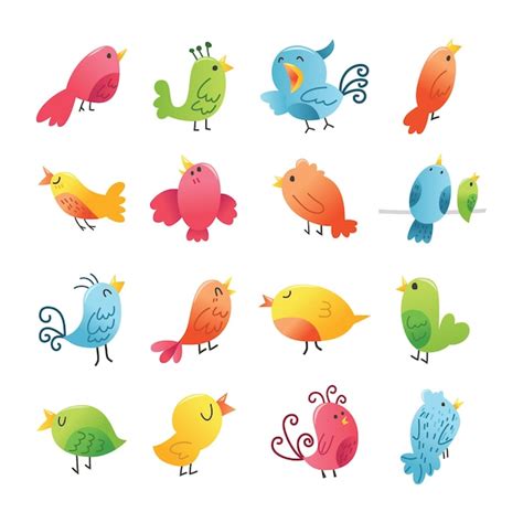 Premium Vector Super Cute Birds Set