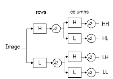 Wavelet Frequency Decomposition Download Scientific Diagram