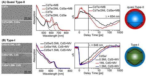 Transmission Electron Micrographs Of A Cdte And Cdte 2ml Cdse And Download Scientific