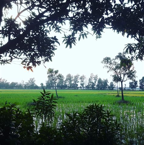 Icda আইসিডিএ Icda আইসিডিএ Added A New Photo