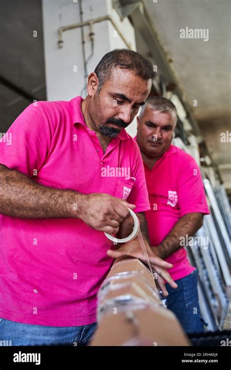 Workers Packing Cardboard Box In Warehouse For Shipment An Operator