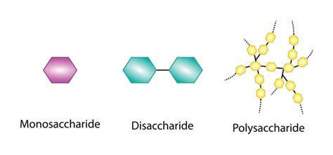 Chemistry Terminology Over 21 Royalty Free Licensable Stock Vectors And Vector Art Shutterstock