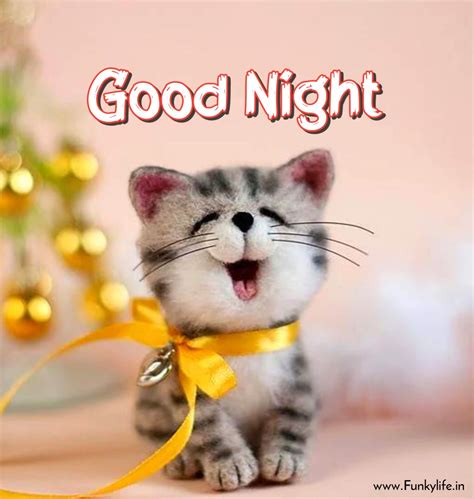 [100 ] Beautiful Good Night Images Photos And Pictures 2021 Funky Life