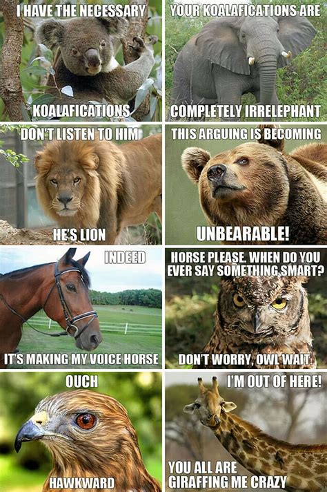 Hey Pandas, Share Some Wholesome Memes (Closed) | Bored Panda