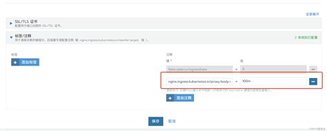 K8s Ingress报错：413 Request Entity Too Largeingress 413 Request Entity