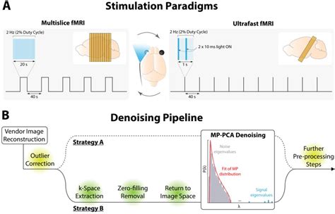 figure 1 from mp pca denoising of fmri time series data can lead to