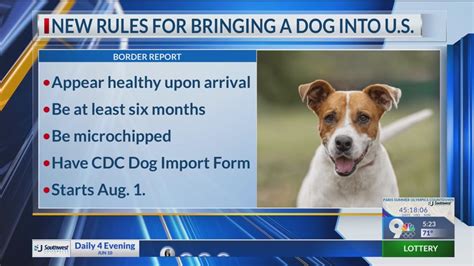 Cdc Announces New Rules For Bringing A Dog Into The Us Ksn Tv