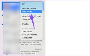 What Is Hide Alerts In Messages On IPhone IPad And Mac Guiding Tech