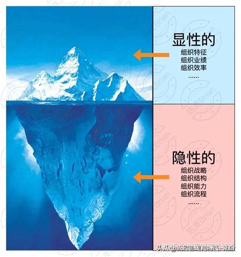 流程管理体系与组织 知乎