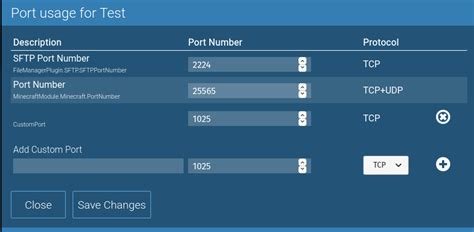 can add custom ports without permission · issue 443 · cubecoders amp