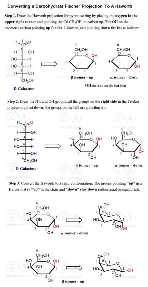 D Glyceraldehyde Fischer Projection Cohenewtsantago