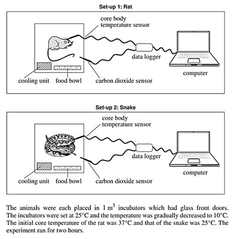 The Complete List Of Hsc Biology Practice Questions