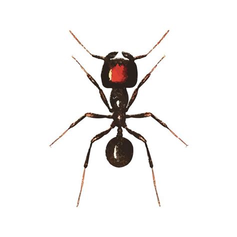 Premium Vector Ant Watercolor Vector Illustration