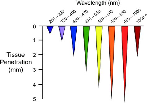 Light Penetration Depth Of Different Wavelengths In Skin Tissue Download Scientific Diagram