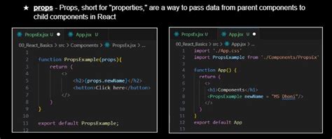 React Props For Data And Customizations React Javascript