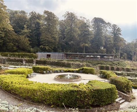 Beth Howell On Linkedin What A Friday 🦎 A Fantastic Day With Hilary Palmer Georgie Snelling Tom