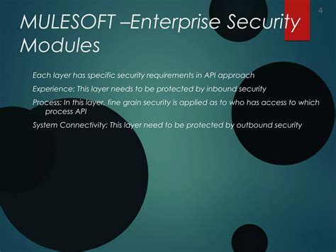Mule Security Ppt